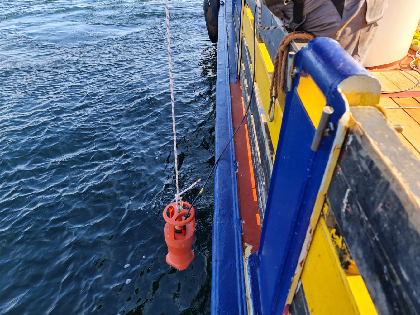 Ace Aquatec and Ocean Health partner to develop FaunaGuard – Inside Marine